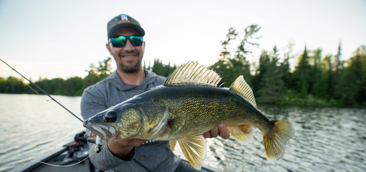 Fish Attractor Facts: Provoking Predator Fish to Bite - T-H Marine Supplies